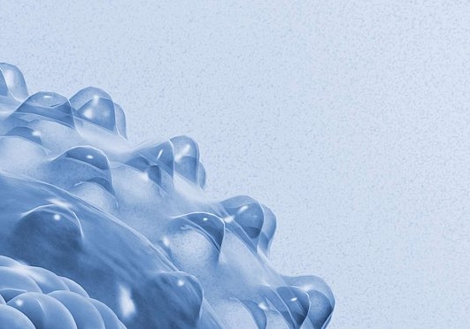 DIASAFEplus dialysis fluid filter | Fresenius Medical Care