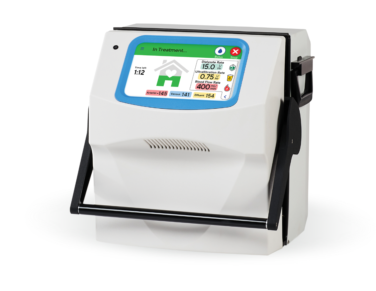 Home Hemodialysis: Individualized Patient Therapies