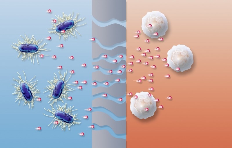 Ultrafiltres de dialysat DIASAFEplus | Fresenius Medical Care