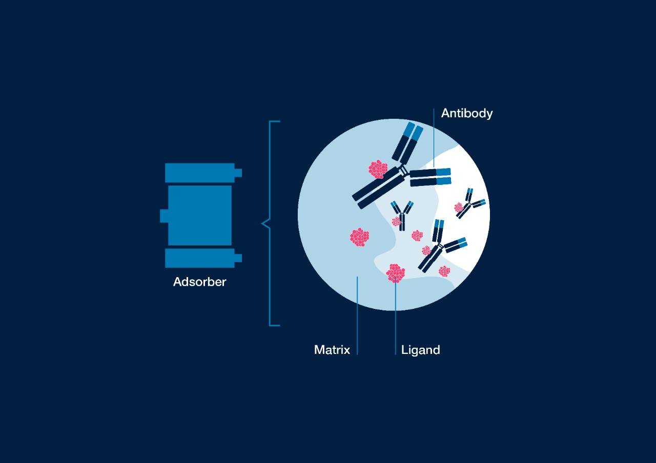 Immunoadsorption | Fresenius Medical Care