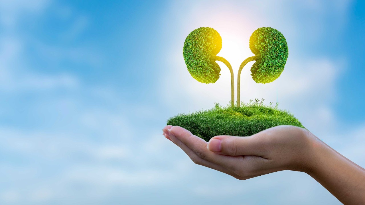 Prevention of further kidney damage | Fresenius Medical Care