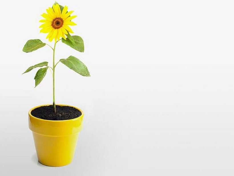 제품 소개 | Fresenius Medical Care